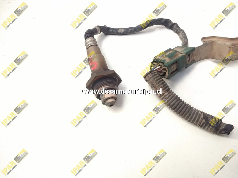 Sensor De Oxigeno Superior 2.4**** NISSAN Terrano 2002 2003 2004 2005 ...
